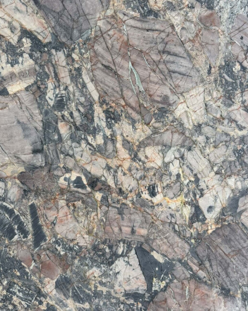 Quartzite Slabs | Sydney Supplier | Premium Surfaces