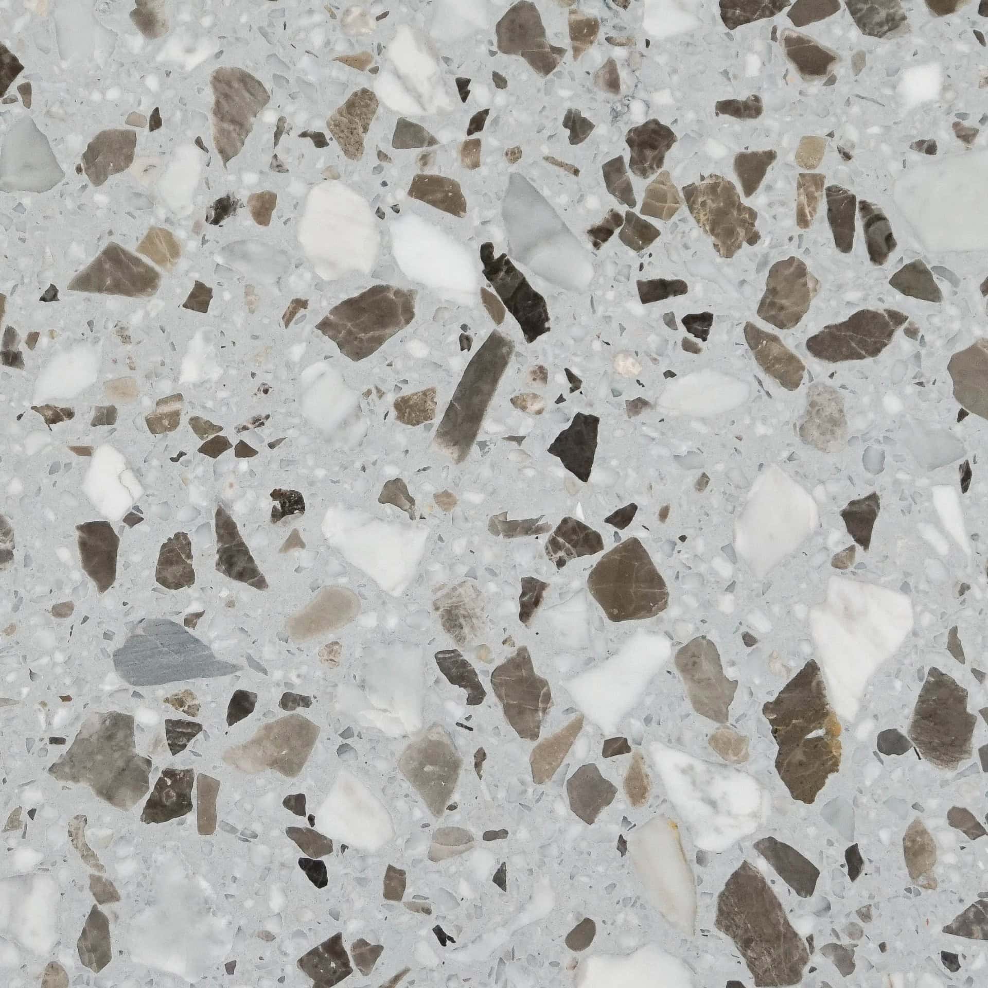 Terrazzo Slabs | Sydney Supplier | Premium Surfaces | Anterior XL