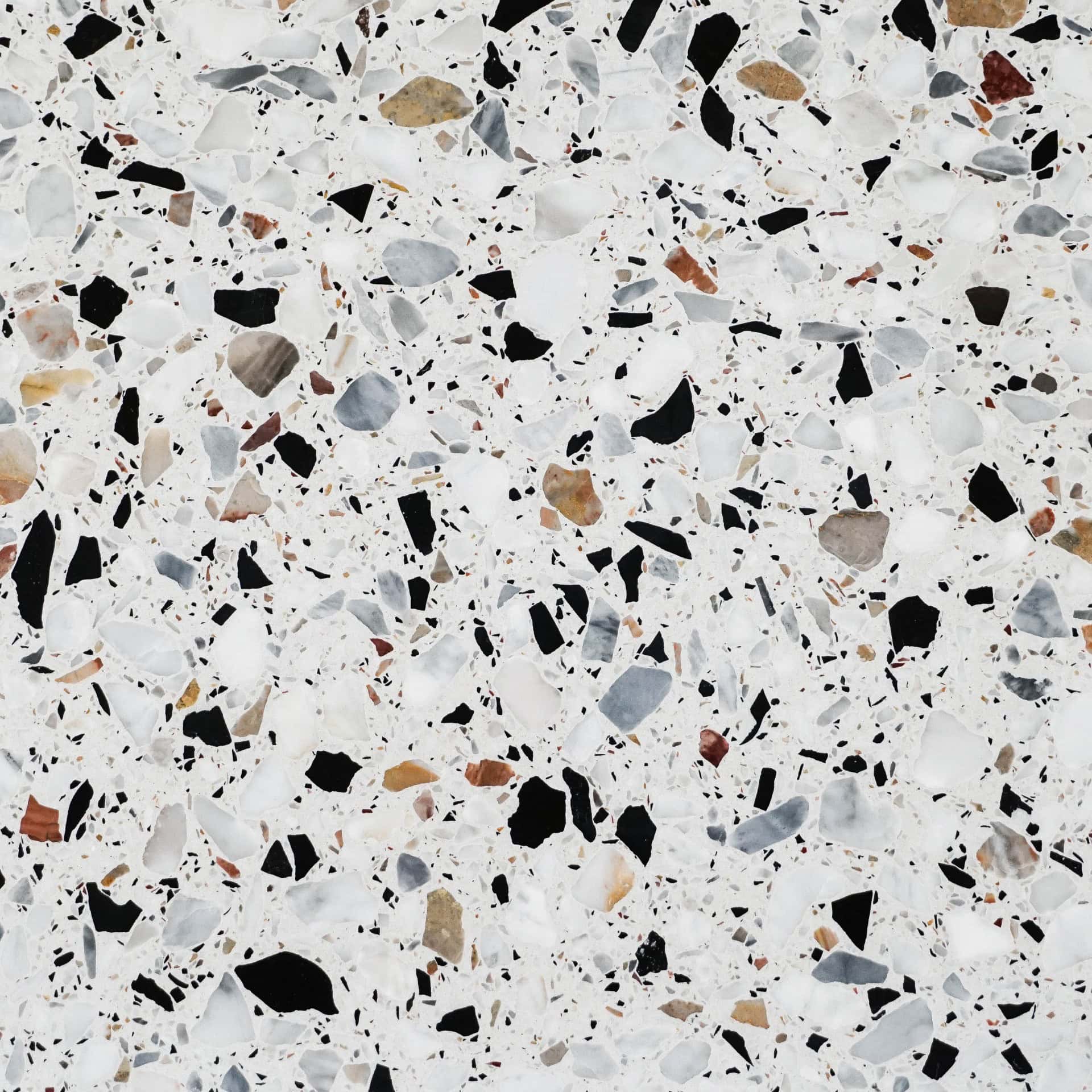 Terrazzo Slabs - Terrazzo Slab Supplier in Sydney - Anterior XL